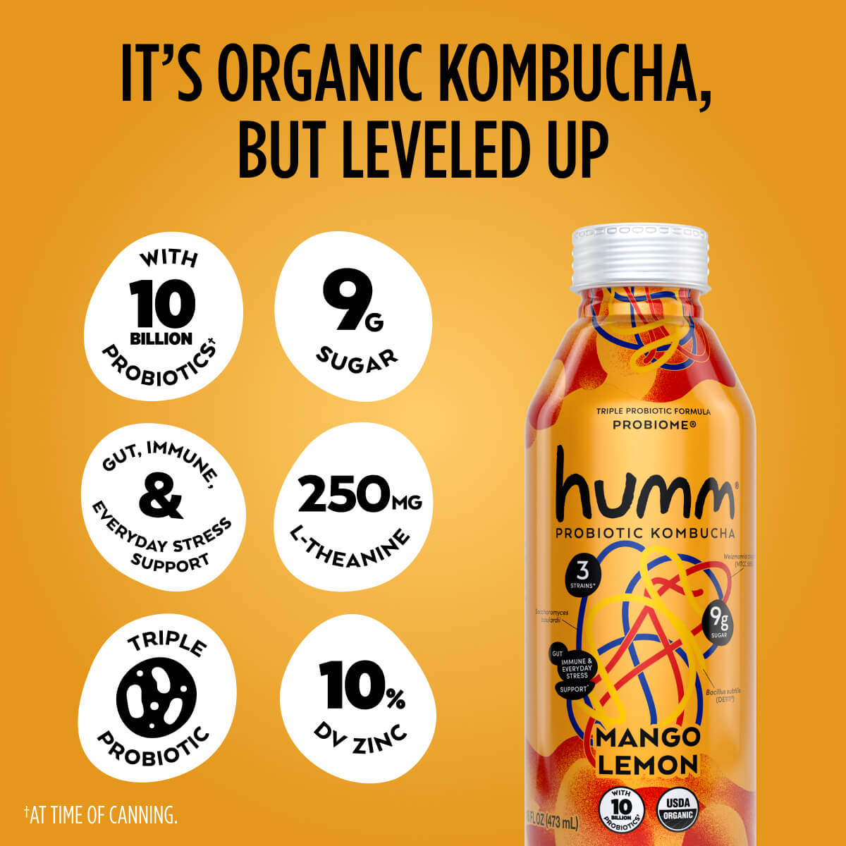 Probiome Mango Lemon Kombucha – Humm Kombucha