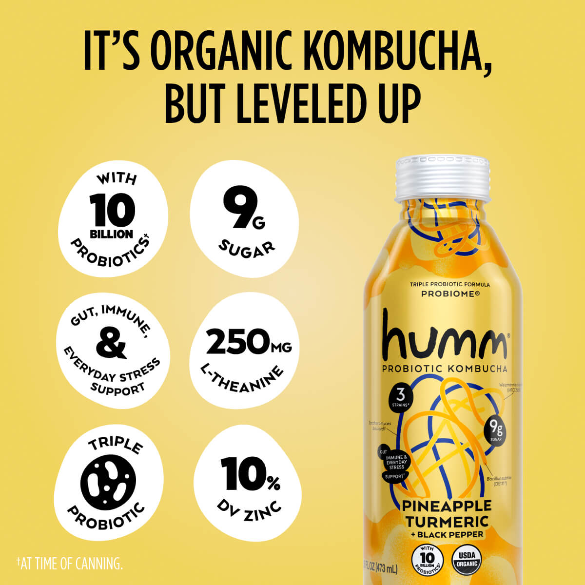 Probiome Pineapple Turmeric Kombucha – Humm Kombucha